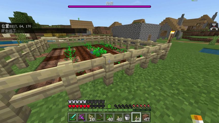 我的世界:你确定你会种田吗?