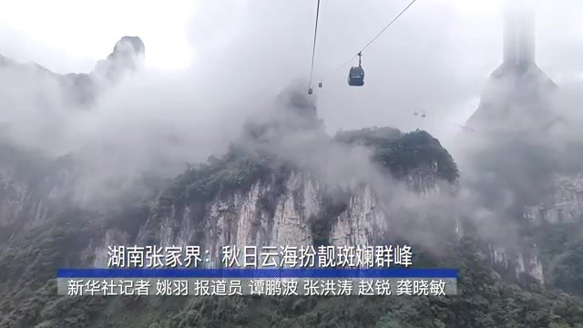 湖南张家界:秋日云海扮靓斑斓群峰