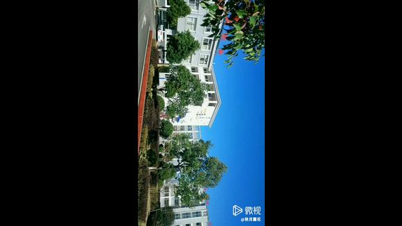 美丽的校园我的家
