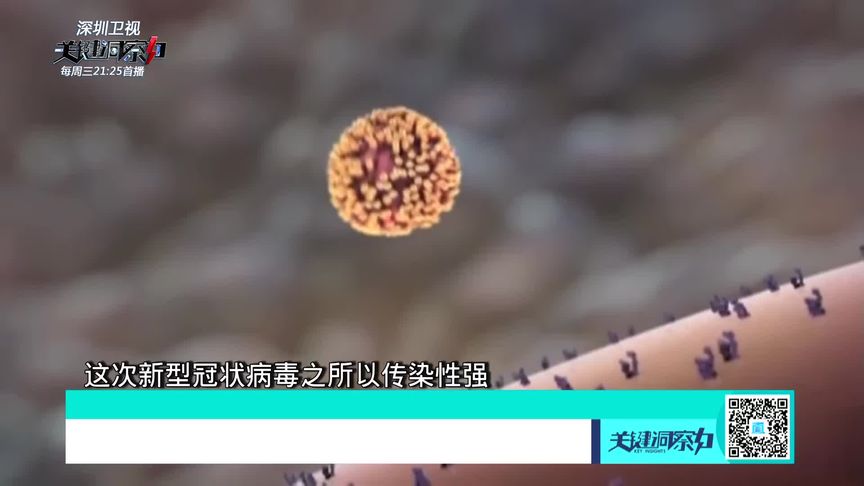 病毒复制迅速 新冠肺炎潜伏期可传染