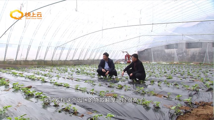 推动农业信贷担保体系建设 破解融资难题