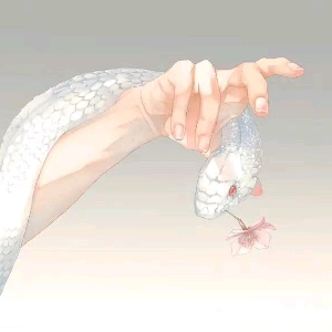 谢廖沙的自然人文世界 