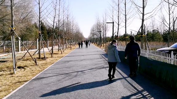 就快憋疯的时候,跑公园撒撒花儿,宅家大叔的春天就来了