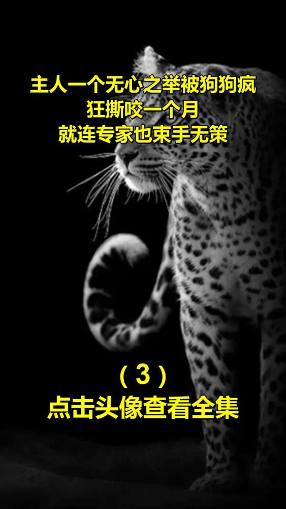 主人一个无心之举被狗狗疯狂撕咬一个月,就连专家也束手无策3