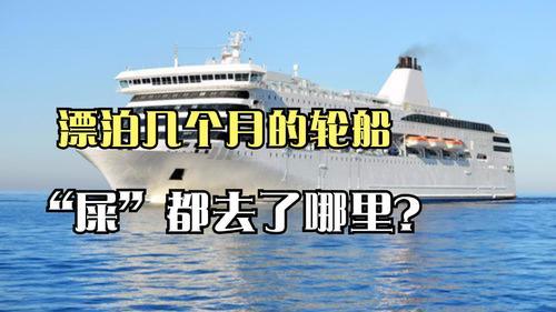 5000吨的轮船“粪便”都去了哪里?难道真的排入大海“喂鱼”?
