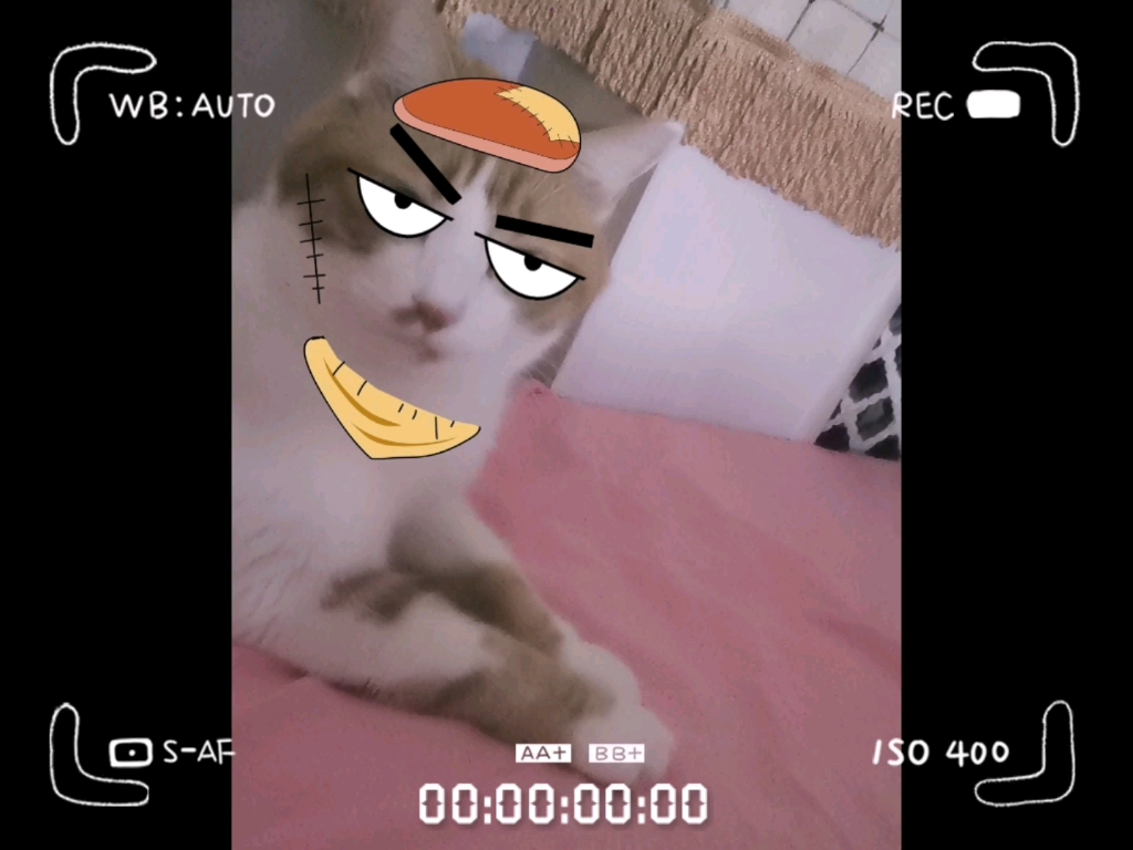 为了你我变成狼人模样。