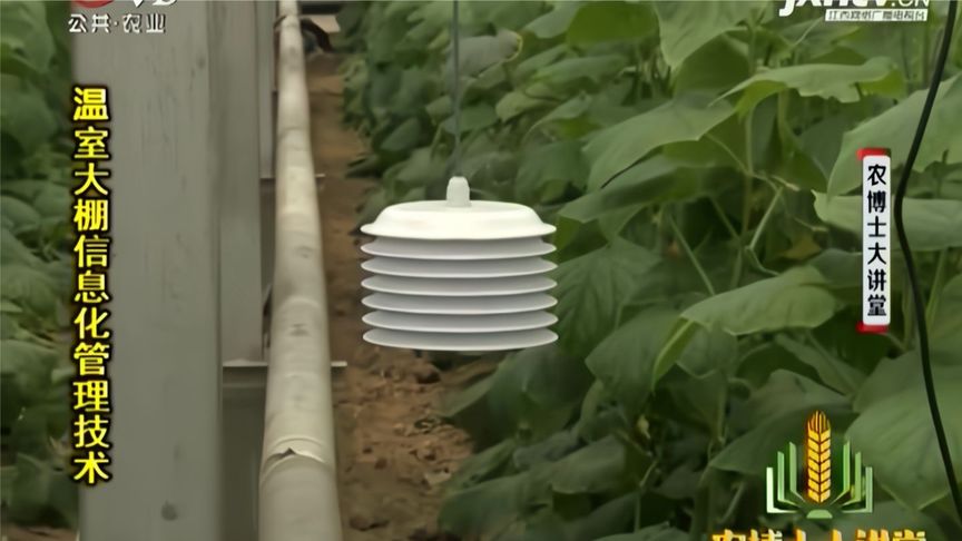 温室大棚信息化管理系统,由哪些设备组成呢?这几种传感器很重要