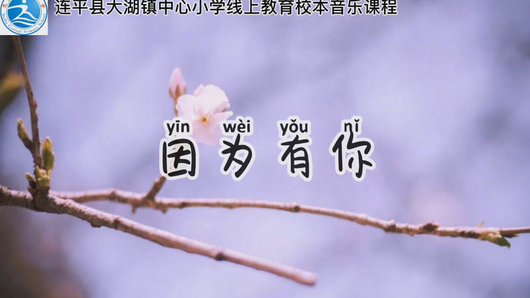 连平县大湖镇中心小学线上教育校本音乐课程