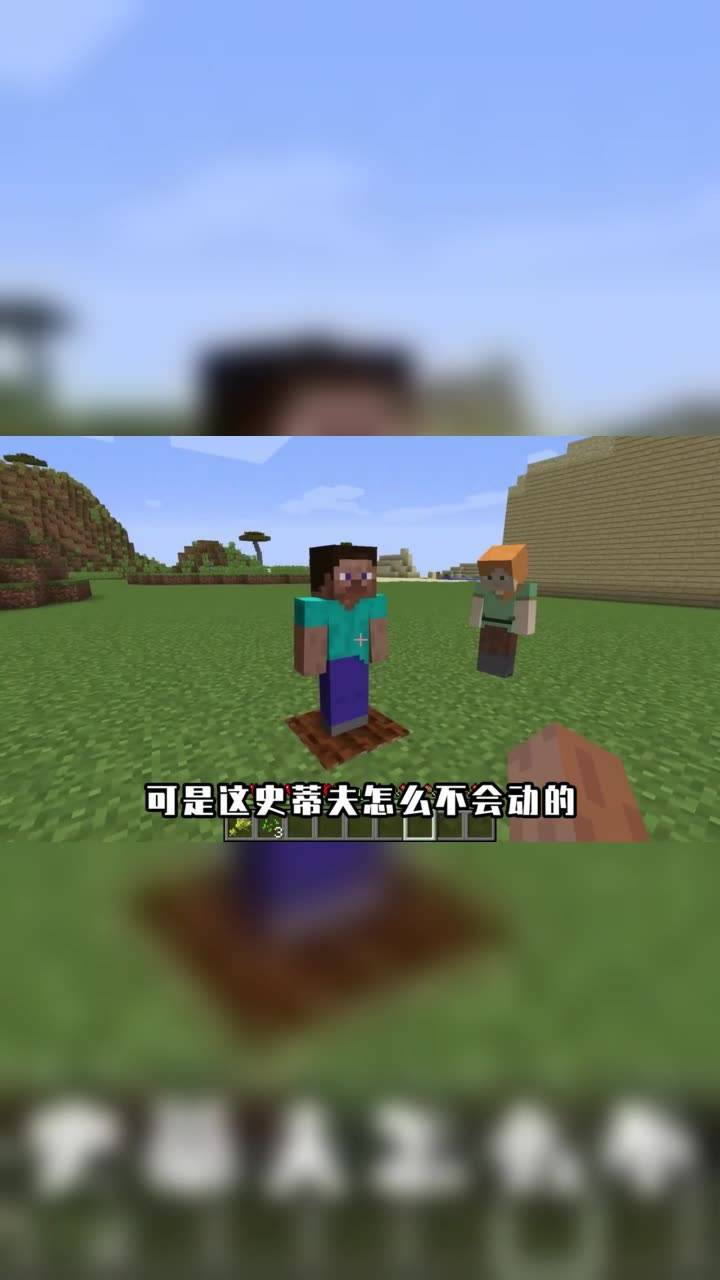 我的世界:这门的传送区域居然是反的?