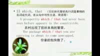 微课视频定语从句