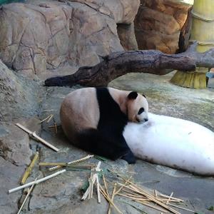 优诺教育人 