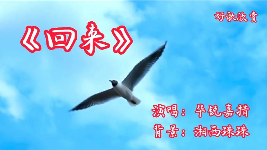 华锐嘉措演唱的《回来》温柔伤感,催人泪下,愿世间皆安