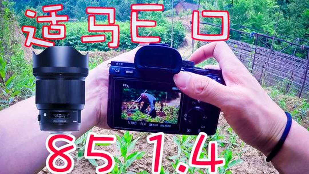 索尼A7M3+适马E口85 1.4实拍测试(眼控、视频对焦)