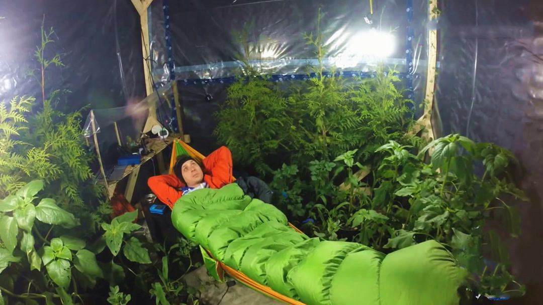 200颗植物生产的氧气,能满足一个人生存需要吗?