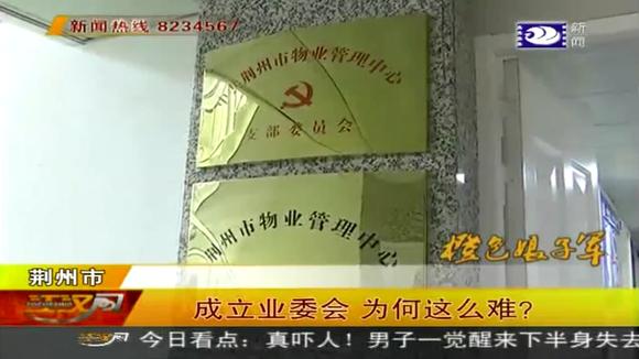 想成立业主委员会,却矛盾重重难以实现,一起来看到底是怎么回事