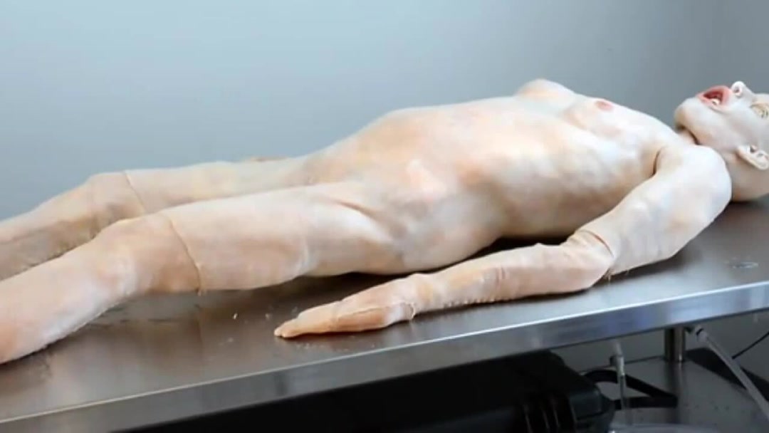 美国研发超逼真医用尸体模型 能呼吸会流血