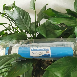bili_10365968511 