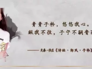 《经典咏流传》(第2季第6集)_x264