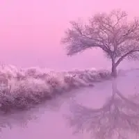 柠檬蜂蜜水呀 