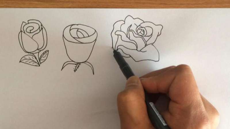   8种玫瑰花画法,实用一辈子!
