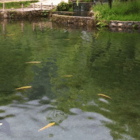 你是我的花宝儿 