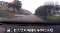 双离合的变速箱寿命是不是很短