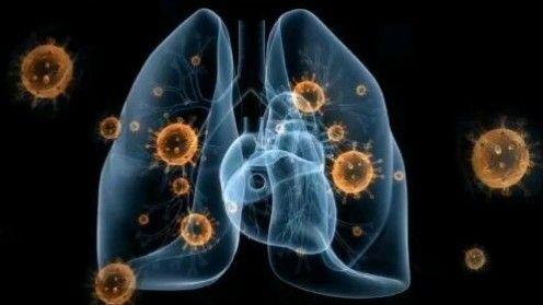 新冠病毒的宿主到底是什么?看看专家怎么说!