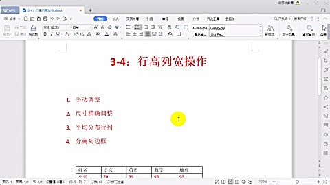 WPS2019文档视频教程 第31集行高列宽操作:手动调整