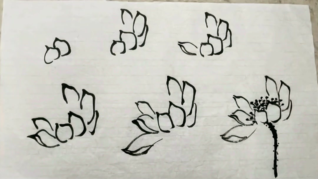 零基础学国画,荷花画法步骤清晰,简单易学