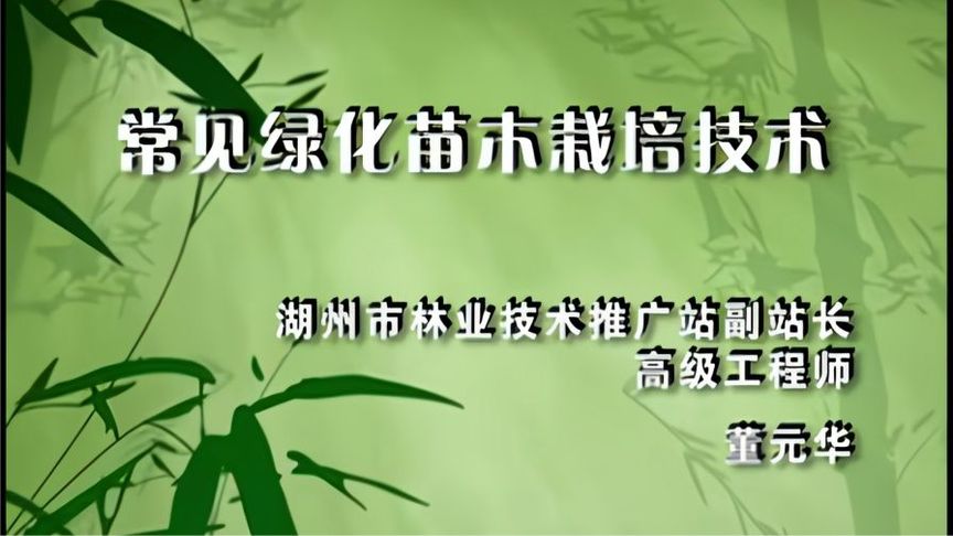 常见绿化苗木栽培技术讲座