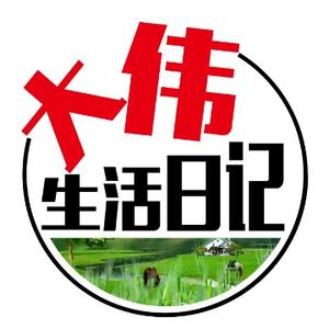 大伟生活日记 