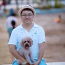 烟台新动力大车四轮定位仪 