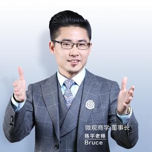 陈平商学课堂 
