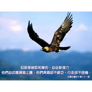 爾識真理真理釋爾 