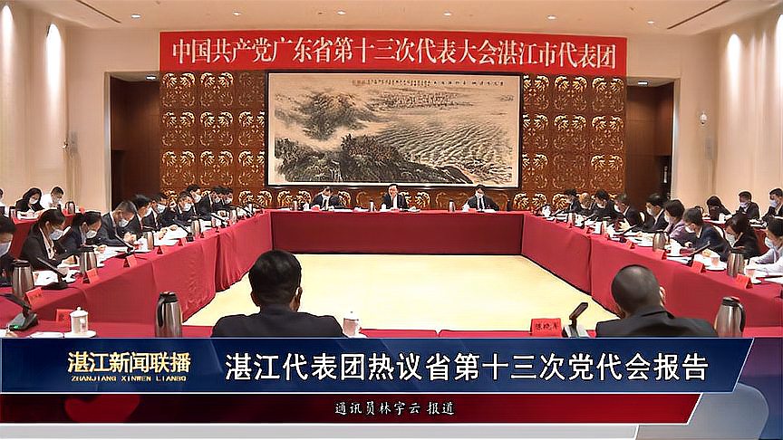 湛江代表团热议省第十三次党代会报告
