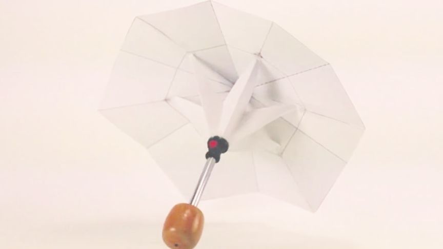 外国人发明这把雨伞,天天盼望下雨,网友举报这是一把没骨头的伞