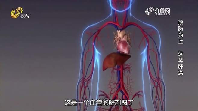 医生结合视频为您科普,肝癌介入手术是怎么做的|名医话健康