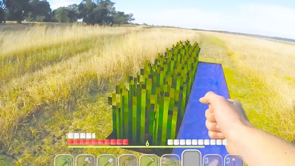 真实游戏,在现实世界里种小麦打僵尸