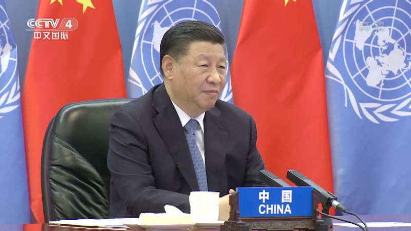 [中国新闻]习近平出席第二届联合国全球可持续交通大会开幕式并发表...