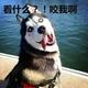 魂断威尼斯 