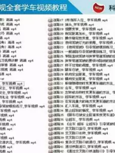 驾校模拟考试学车视频教程1