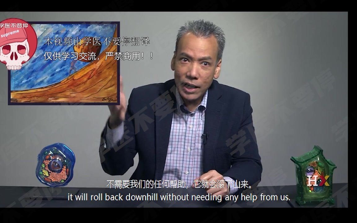 [哈佛大学] | 2.2什么是线粒体?