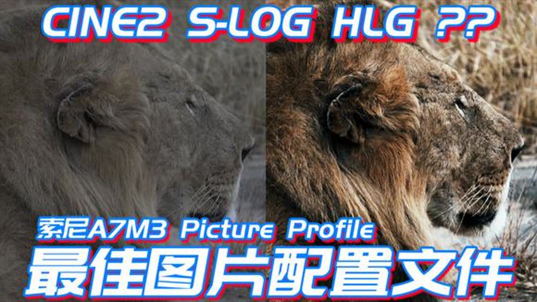 索尼 A7M3最佳图片配置 SLOG HLG CINE2