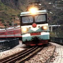 世纪银狐_365328366 