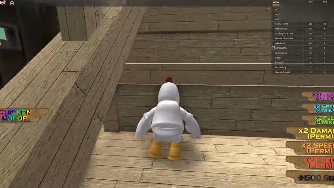 小格解说_Roblox_农场小鸡模拟器_恐怖巨型公鸡!可爱小鸡不好惹