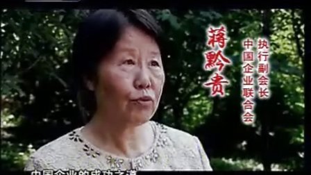 解码中国管理模式