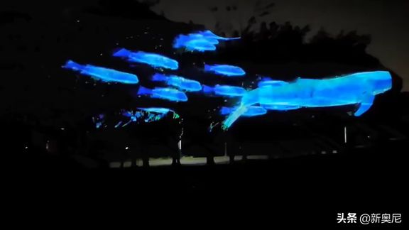 魔幻森林公园,将裸眼3D影像投射到树上,让夜间的树林美丽动人