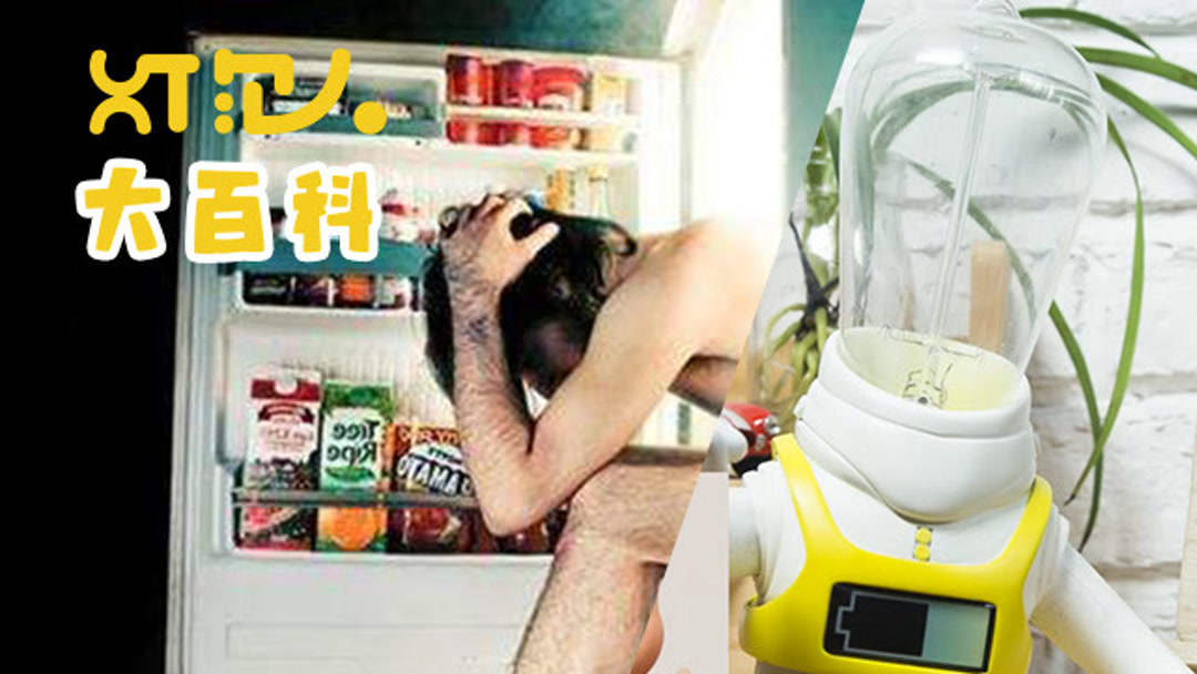 灯泡人大百科10: 夏天的我们就是冰箱里的咸鱼