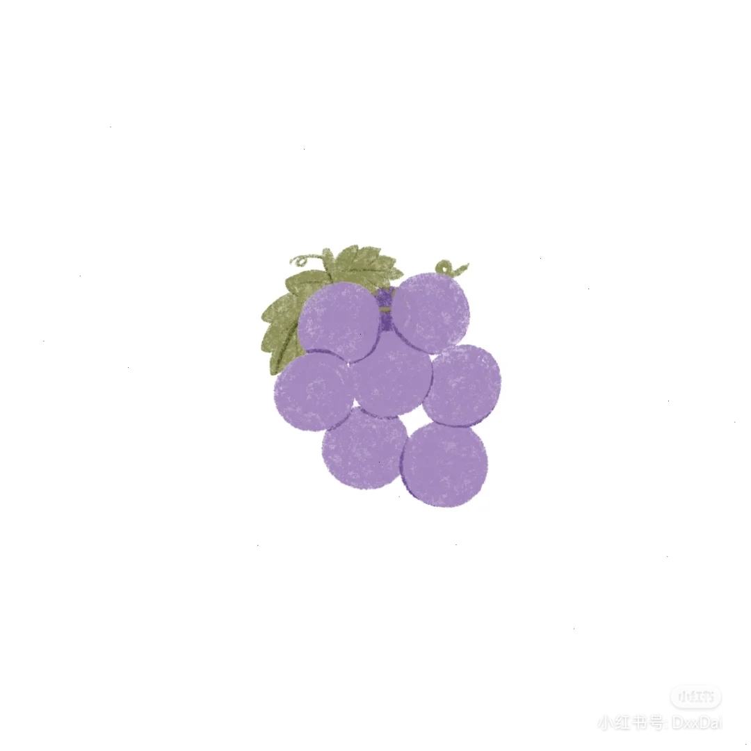插画教程大葡萄 
