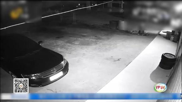 高速两货车相撞,司机当场死亡,提醒广大市民安全驾驶